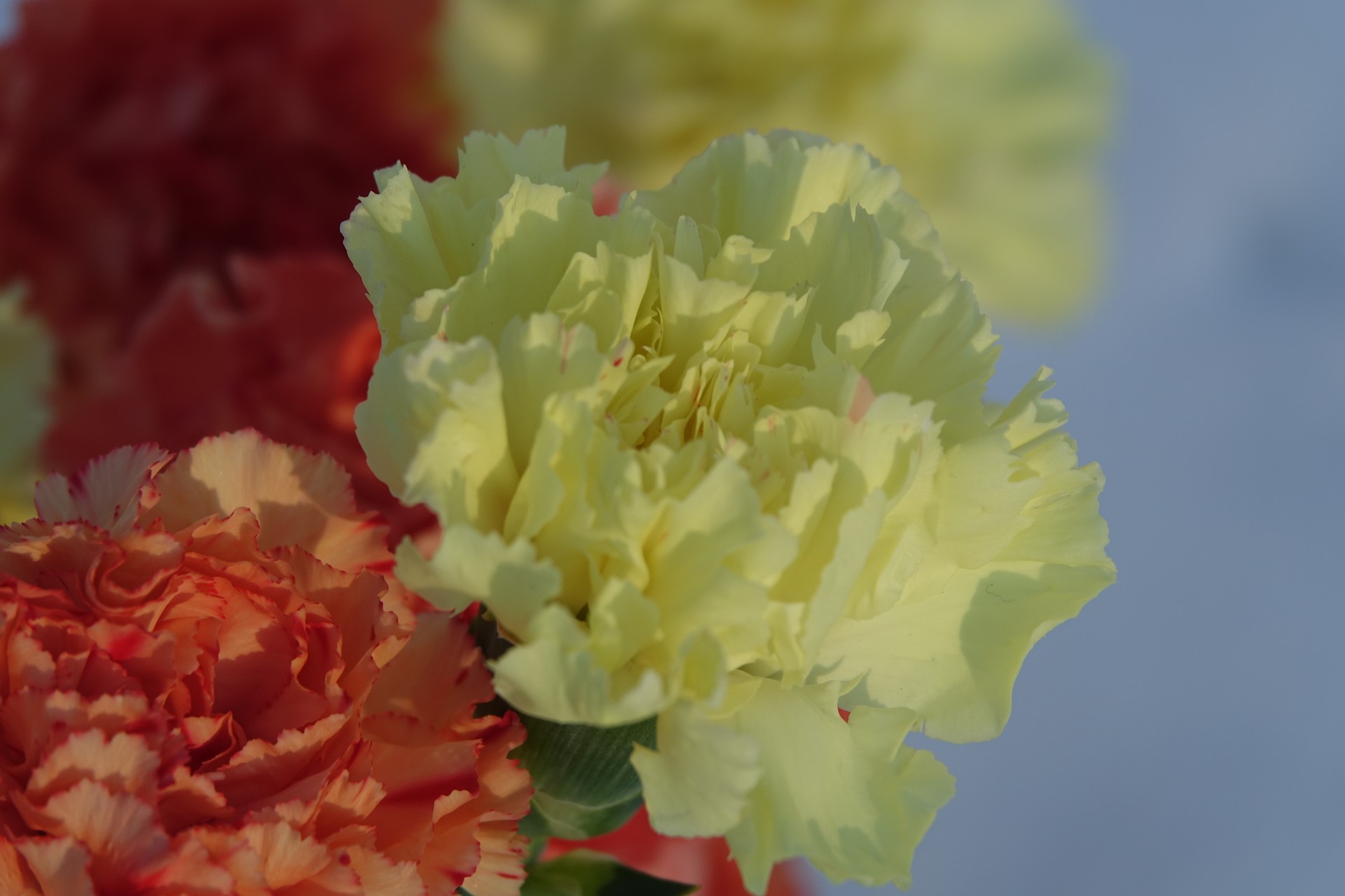 Youth | Uniarts Helsinki