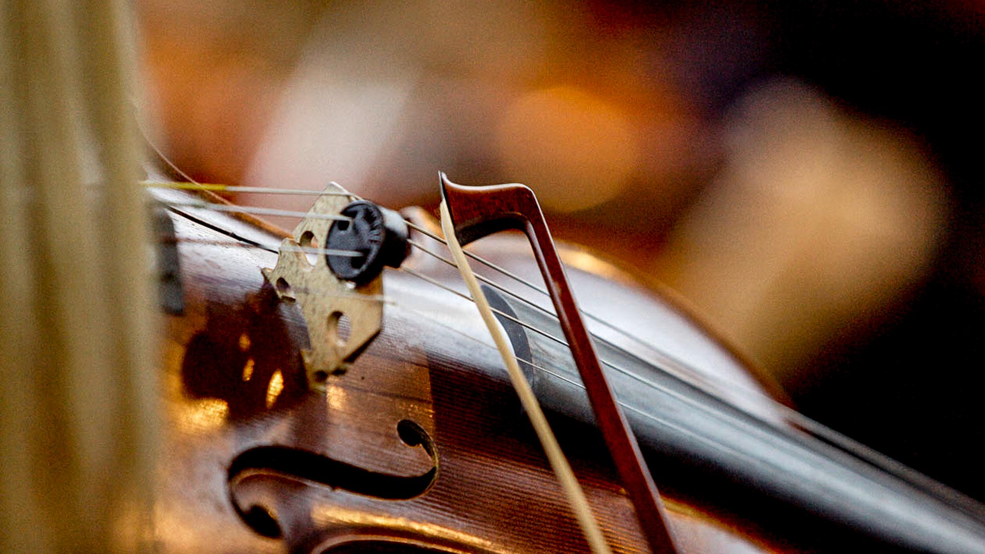 Kandikonsertti: Viljami Kemppinen, viulu | Taideyliopisto