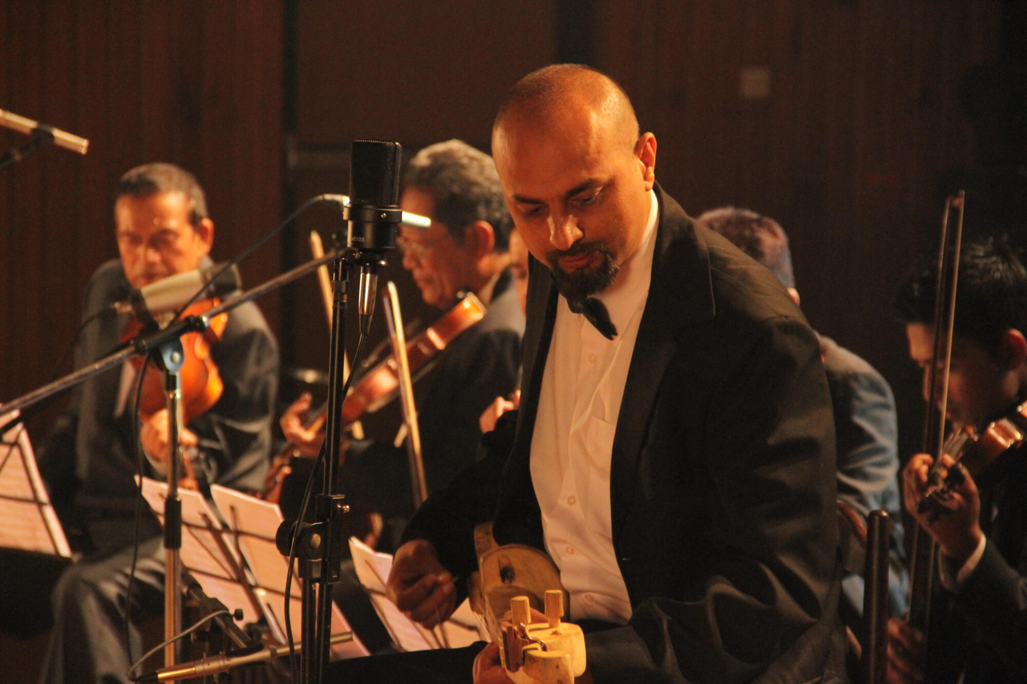 Transition pathways towards gender inclusion in the changing musical ...